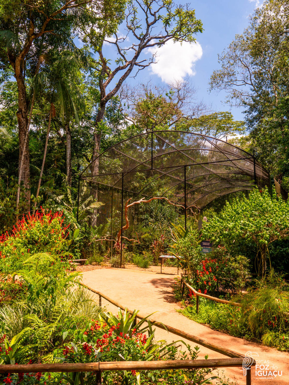 Parque das Aves: Como é o passeio, dicas e informações - Dicas Foz do ...